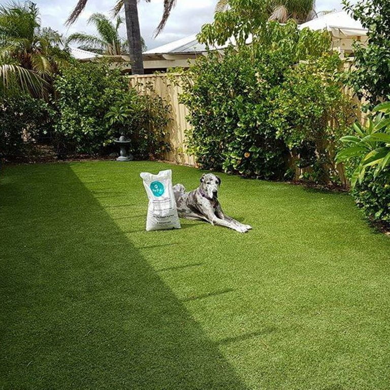 Pet Zone - Synergy Turf